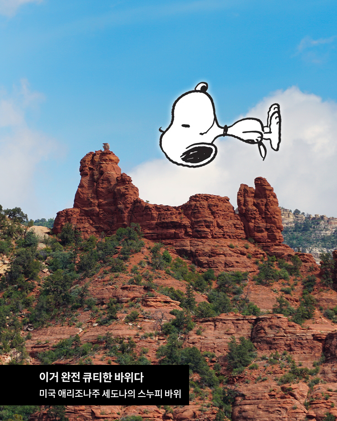 보인다 보여 스누피가… 나 미국 가야겠습니다 스누피 바위 보러… | 패스트페이퍼 (Fastpaper)